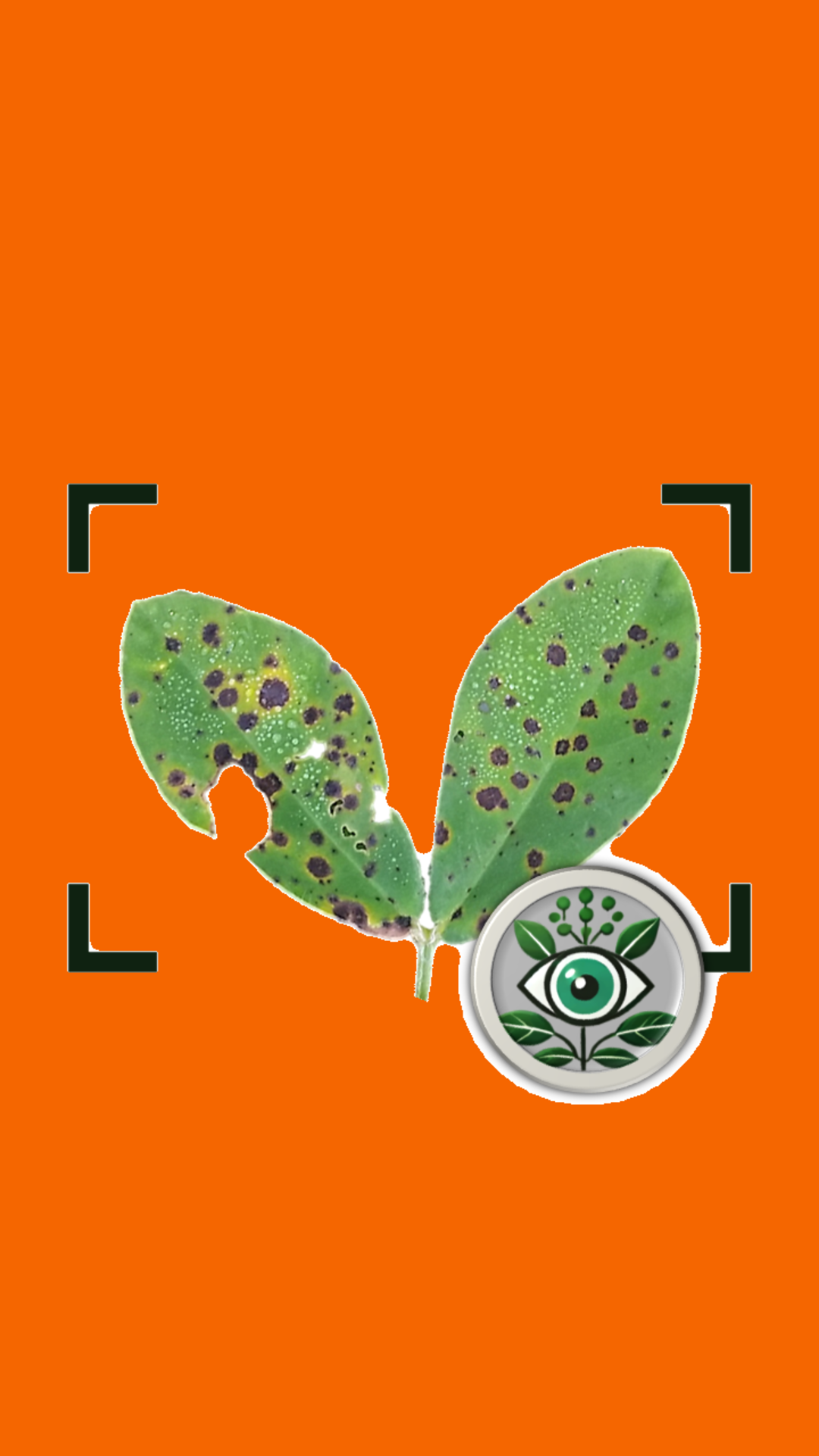 AgriView PeanutScout: Upload Image